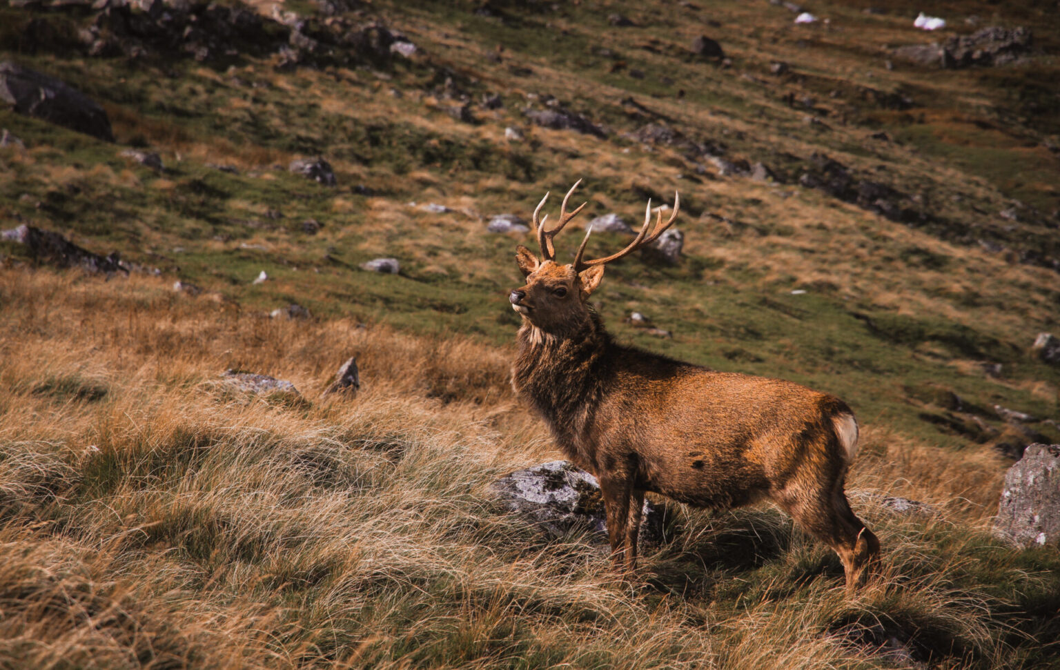 Winners of the Senus Secondary Schools Nature Photography Competition ...